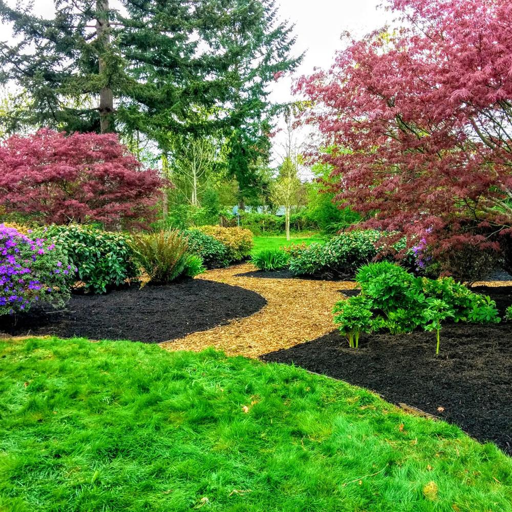 Landscape Design & Construction Services | Kirkland & East Side